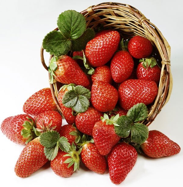 fragole-jpg_161003.jpg - Arti Gatimit